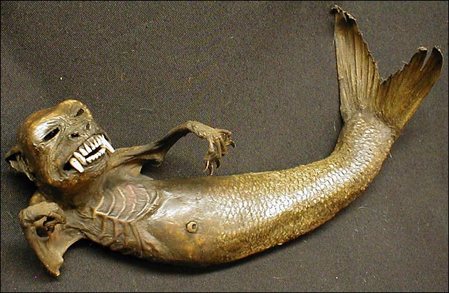 From the Vault: The Feejee Mermaid: The Milwaukee Taxidermied Treasure ...